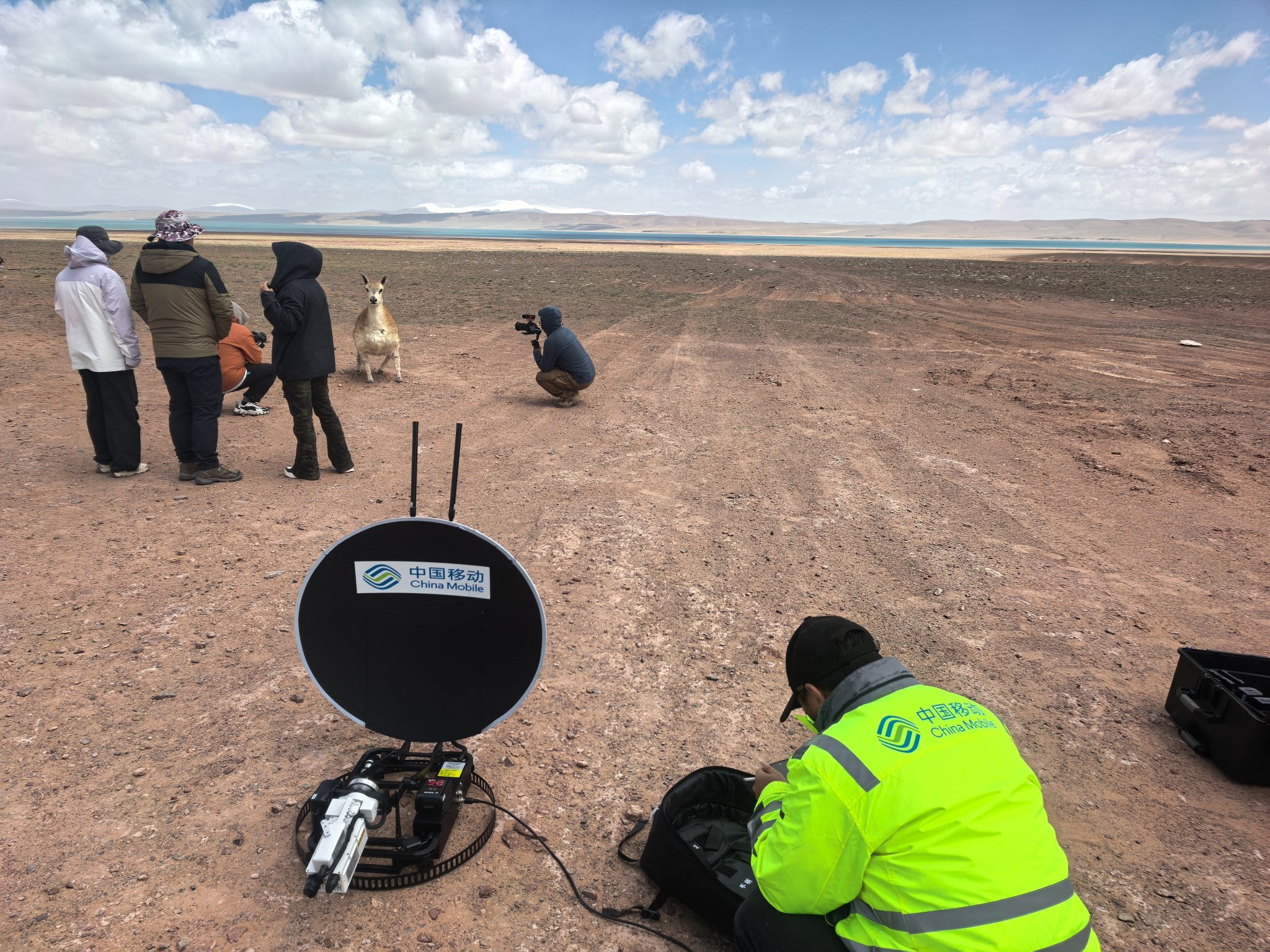 The Chinese Bionic Antelope Robot: A Leap Forward in Robotics ...